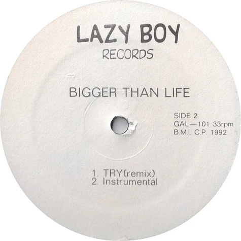 Bigger Than Life - Try - Vinyl 12" - 1992 - US - Original | HHV