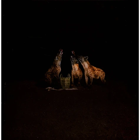 Years Of Denial - Suicide Disco 2024 Repress Edition - Vinyl 2LP - 2019 ...