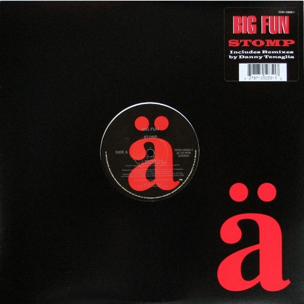 Big Fun II - Stomp - Vinyl 12" - 1993 - US - Original | HHV