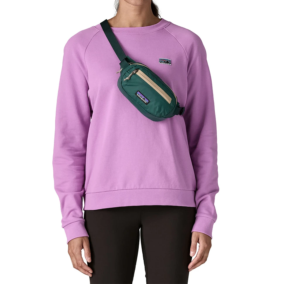 Patagonia - Terravia Mini Hip Pack (Cascade Green) | HHV